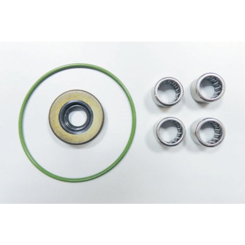 Bosch CP3 Gear Pump Repair Kits for Mercedes Benz - Diesel Engine ...