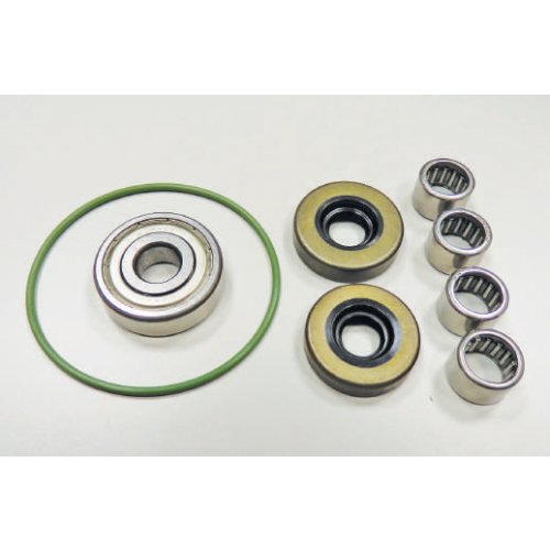 Bosch CP3 Gear Pump Repair Kits for Mercedes Benz - Diesel Engine ...