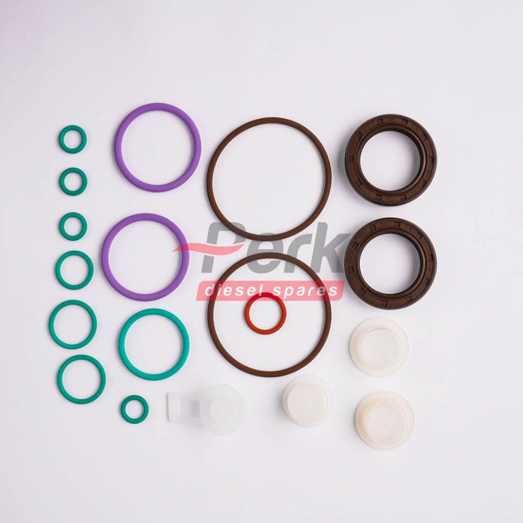 Bosch CP4/2 Pump Repair Kit for 0445010611 / 0445010673 - Diesel Engine ...