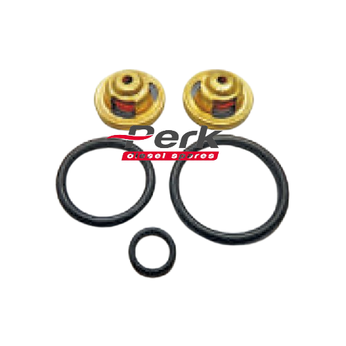 Valve Kit - Diesel Engine Spares | PerkDiesel